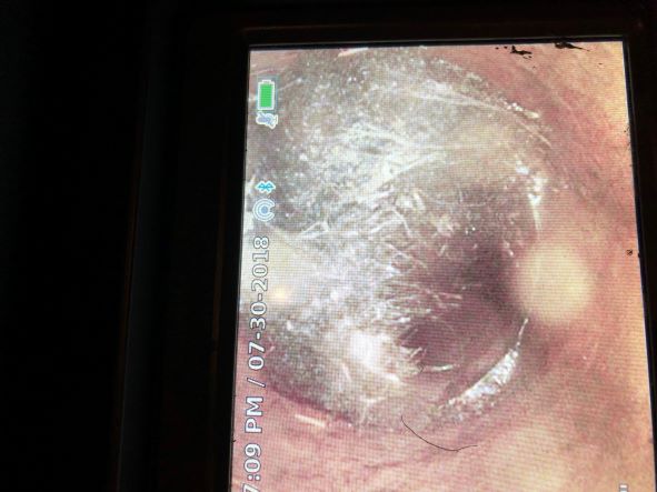 CCTV CAMERA INSPECTIONS - Gritworx.ca